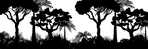 정글 풍경입니다 열대 우림의 실루엣을 가진 벡터 배경 수평 검은 색 파노라마 테두리 와 야자수 와 나무 와 풍경 0명에 대한 스톡 벡터 아트 및 기타 이미지 Istock