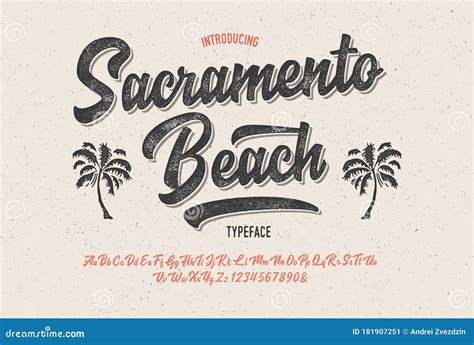 Brush Script Font Original Retro Typeface Vector Stock Vector Illustration Of Print Label