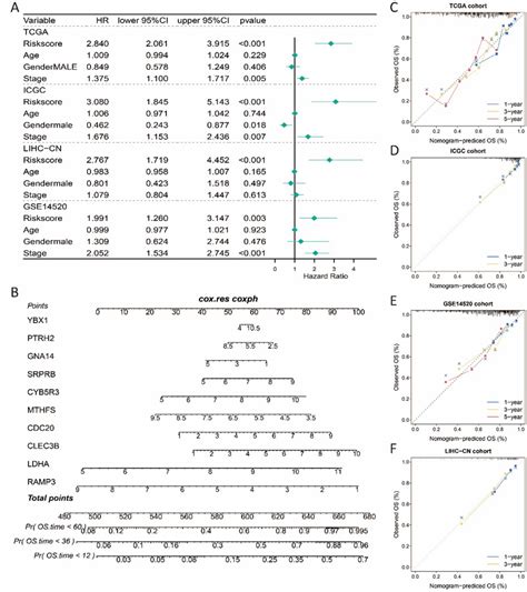 Independence Analysis Nomogram Construction And Calibration Plot