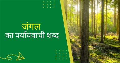 Jungle Ka Paryayvachi Shabd जंगल का पर्यायवाची शब्द क्या है