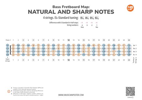 Bass Guitar Fretboard Map Pdf With All Notes In Eb Standard