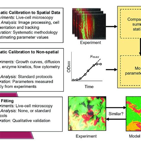 Model Calibration Techniques For Spatiotemporal Models Of Microbial Download Scientific Diagram