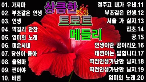 상큼한 트로트 메들리 트로트 신곡 메들리 Playlist Youtube