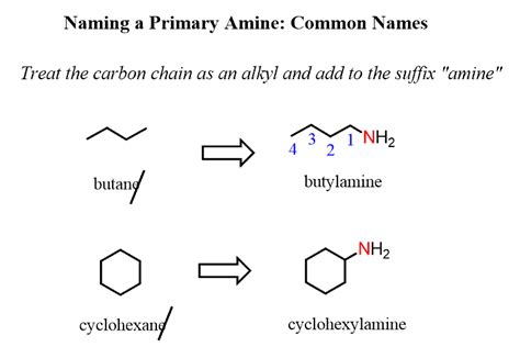 Amine Functional Group Chemistry Steps