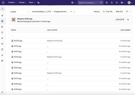 Edited Images On Gitlab Do Not Appear When I Run Experiment On Pavlovia