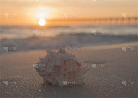 贝壳宁静水平画幅沙子户外海洋海滩河岸2015年日落