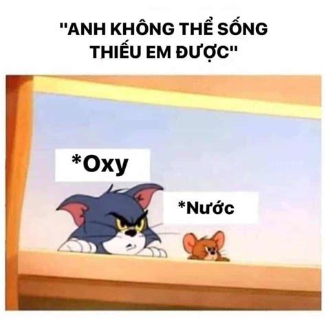 Tom Jerry Meme Siêu Cute Bộ Ảnh Chế Hài Hước Nhất