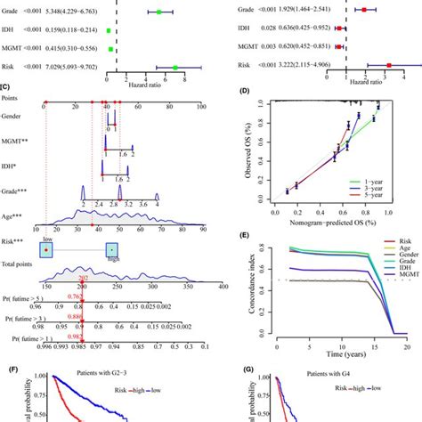 Analysis Of Independent Prognostic Factors A B Forest Plots Showing