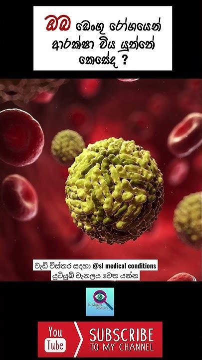 ඩෙංගු රෝගය මාරාන්තිකයි Dengue Medical Disease Sinhala Youtube