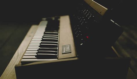 Moog Minimoog Model D Analog Synthesizer Walnut Limited Edition Sweetwater