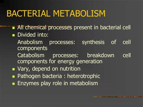 Bacterial Metabolism3
