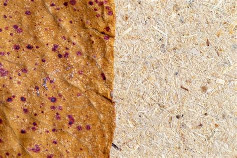 Releaf Paper Material Solar Impulse Efficient Solution