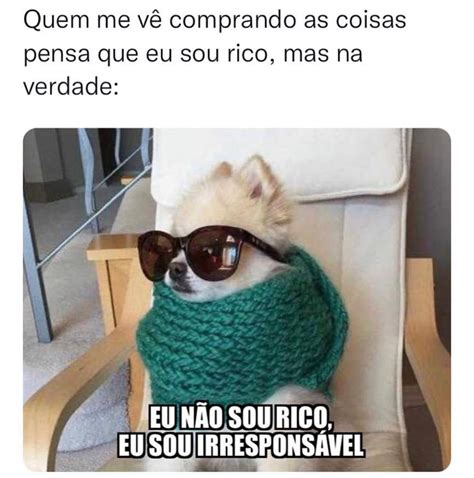 Sou Irresponsável Não Rico Perrengue Mato Grosso