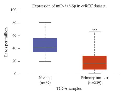 Mir 335 5p Binding To 3utr Of Ccrk And Its Effects On Ccrcc Patients