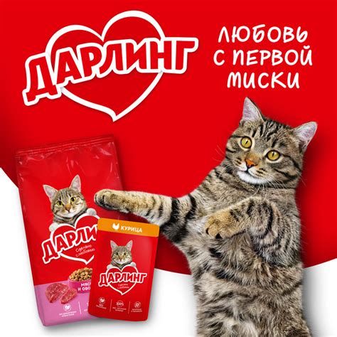 Дарлинг сухой корм для взрослых кошек с мясом и овощами - 760 г ...