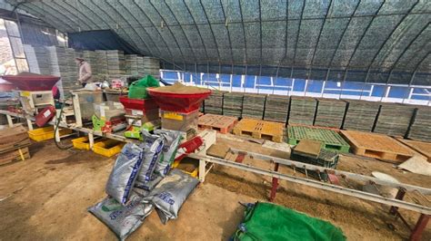 1차 고비는 넘겼다 시골 농삿일 돕기못자리 볍씨파종 모판만들기 네이버 블로그