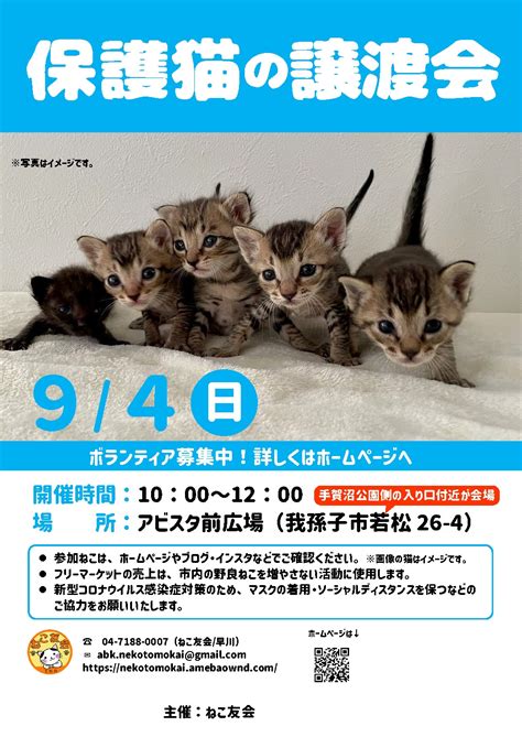 2022年9月4日日保護猫の臨時譲渡会 ねこ友会