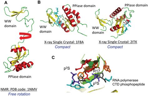 Biomolecules Special Issue Rna Binding Proteins—structure Function Networks And Disease