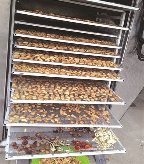 ლეჩხუმელი ჩირის დედოფალი კვირის პალიტრა