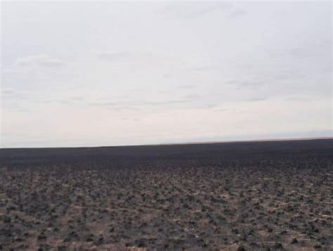 Ой хээрийн түймрийн галын аюулаас сэрэмжлүүлж байна