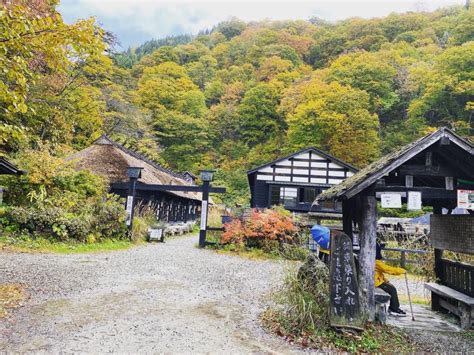 ニュース・ブログ一覧 名古屋のシステム・ウェブ開発・株式会社ウェブネーション