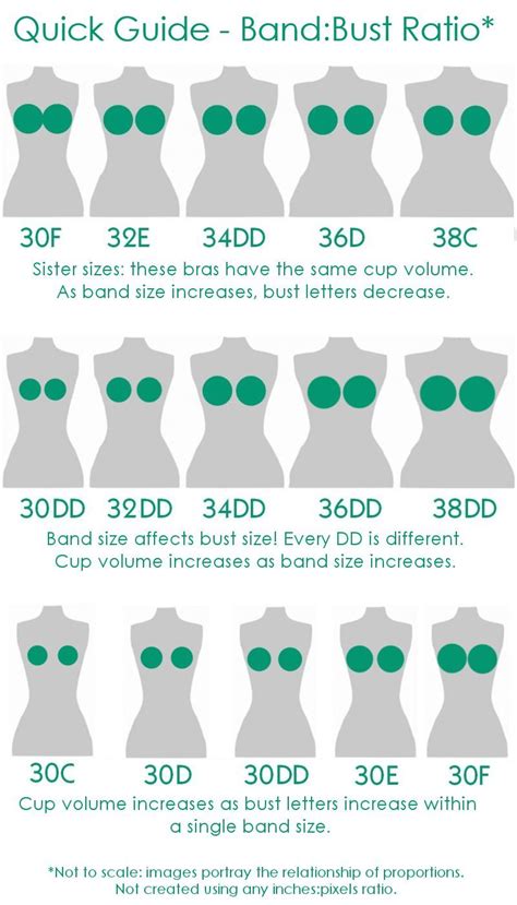 Chart Of Different Breast Sizes Breast Size Shape Pictures E
