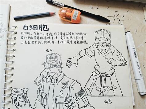 高中数学数列思维导图清晰详细12张 几塔之家