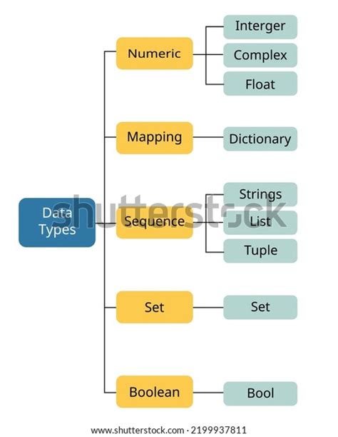 Example Data Types Graph Stock Vector Royalty Free Shutterstock