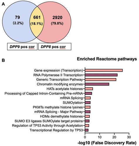 Enriched Reactome Pathways Of Genes That Were Positively Correlated Download Scientific Diagram