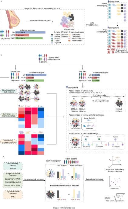 Qimr Berghofer Medical Research Institute On Linkedin Performance Of Tumour Microenvironment