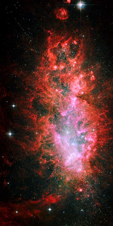 ｽﾀｰﾊﾞｰｽﾄ銀河NGC1569