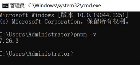 Fail To Load Script In Vscode Of Windows · Issue 6057 · Pnpmpnpm · Github