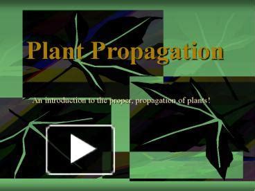Plant Propagation Presentation Free To Download