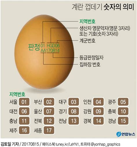 먹기 전 살충제 확인 달걀 껍질에 적힌 숫자 보는 법 한국일보