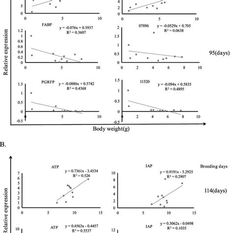 Correlation Between Metabolism Regulation Genes And Shrimp Weight Download Scientific Diagram