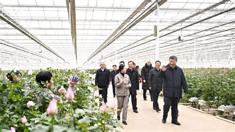 ရှီကျင့်ဖိန်သည် ယူနန်ပြည်နယ်၊ လိကျန်းမြို့သို့ သွားရောက်လေ့လာ