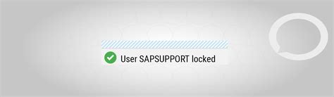 How Do I Lock A User In Sap Hicron