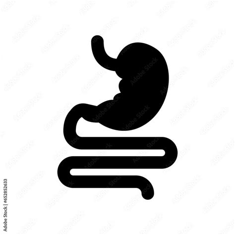 Digestive System Human Stomach And Gastrointestinal System Infographic Vital Organ Stomach