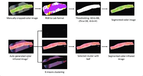 Image Segmentation Procedures Of The Color And Color Infrared Paired