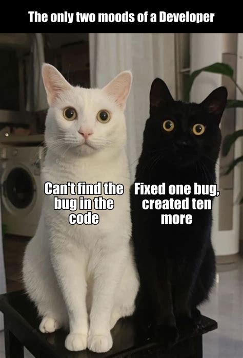 Vigil On Linkedin Current Mood Stuck In An Endless Debug Loop 🥹 If