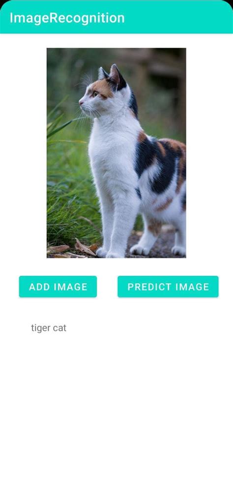 image recognition classification android app using tensorflow model easy and fast
