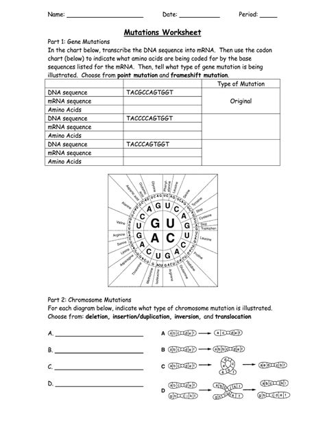 Genetic Mutations Worksheet Answer Key E