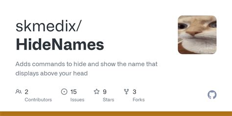 GitHub Skmedix HideNames Adds Commands To Hide And Show The Name That Displays Above Your Head