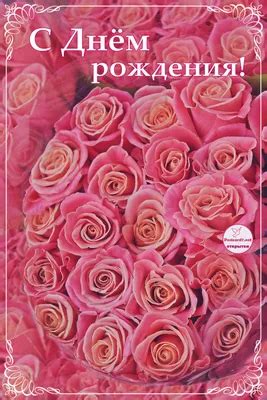 Огромный Букет Роз Картинка С Днем Рождения - 79 фото