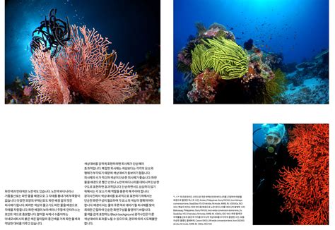 색상대비가 강한 사진 Compact Digital Photography 콤팩트 디지털카메라 촬영 기술 2018 02