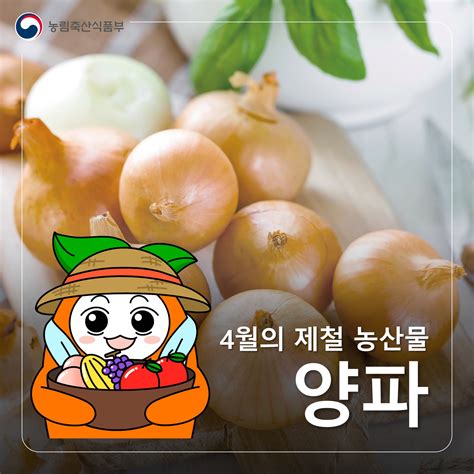 대한민국 농림축산식품부 오늘 소개해드릴 4월의 제철농산물은 🎶참깨빵위에 순쇠고기 패티두장 특별한소스