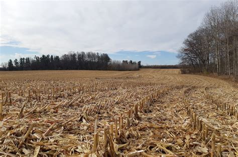 A Little More Discussions On “etl Using Aws Glue” By Feng Li Medium