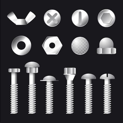 screw vector