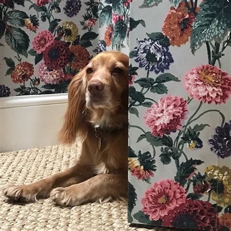 Instagram Flora Soames