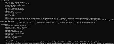 Nvidia Connectx 7 Lshw Servethehome